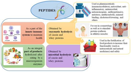 Bioactive Peptides Derived from Whey Proteins for Health and Functional ...
