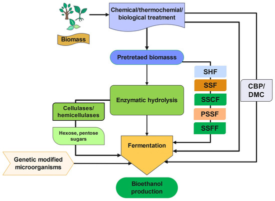 Biochemical and Biorefinery Platform for Second-Generation Bioethanol ...