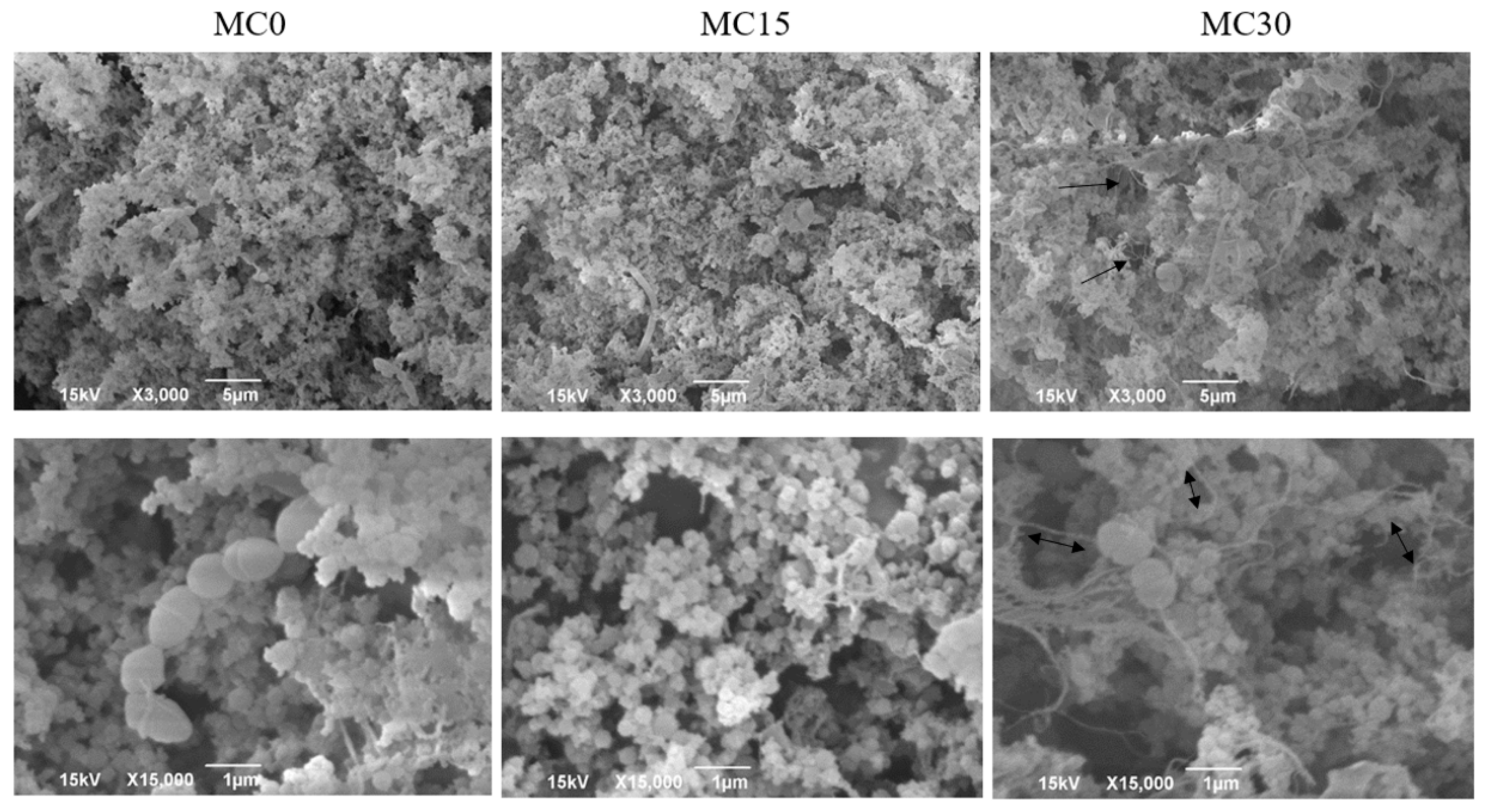 Chia Seed Mucilage as a Functional Ingredient to Improve Quality of Goat Milk Yoghurt: Effects ...