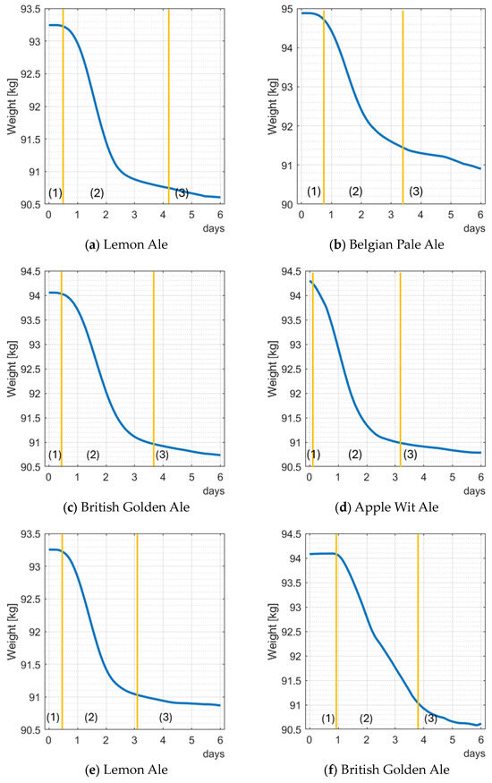 Online Identification of Beer Fermentation Phases