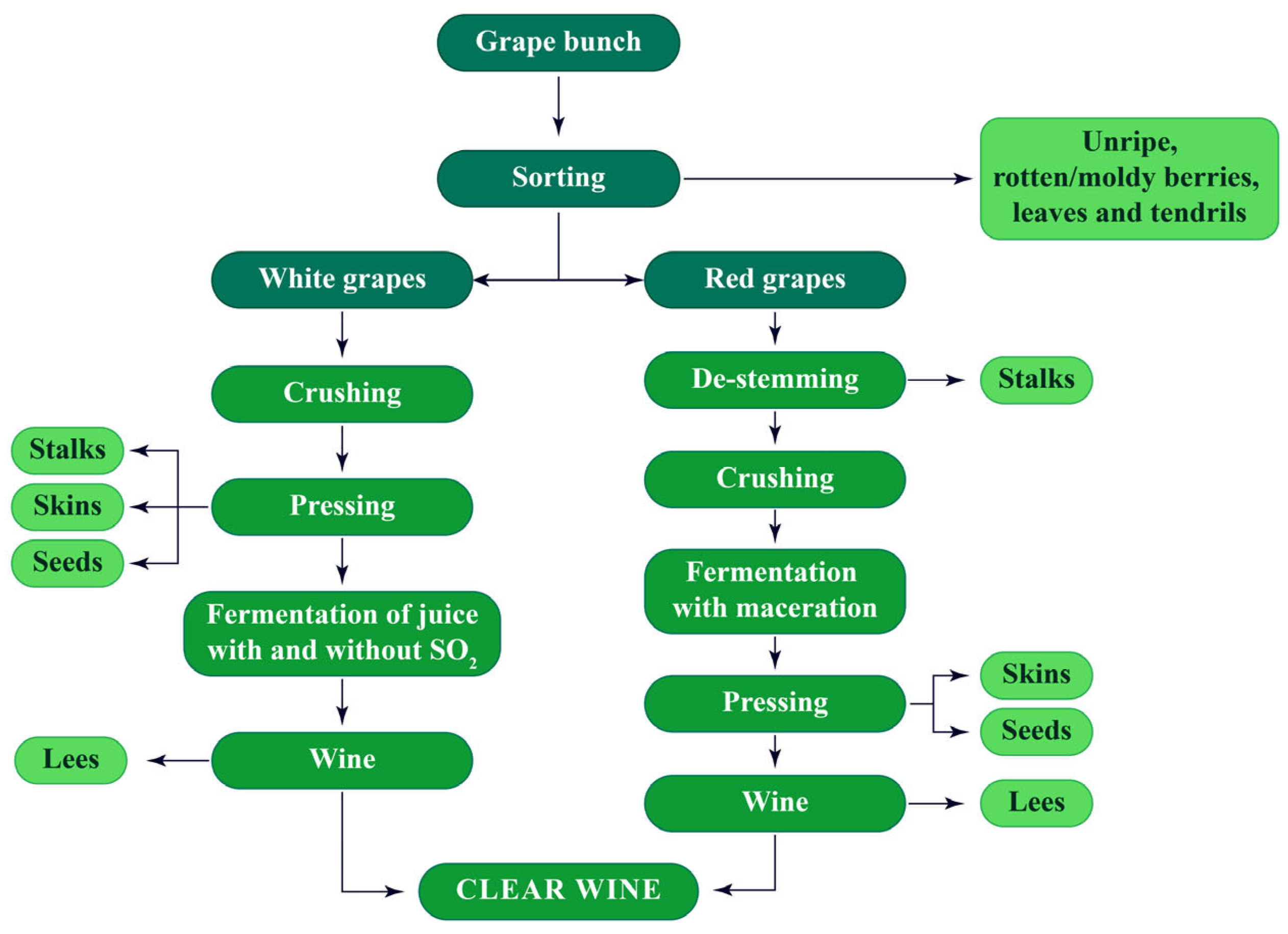 Investigating the Influence of Vessel Shape on Spontaneous Fermentation ...