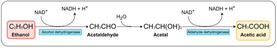 Exploring Microbial Dynamics: The Interaction between Yeasts and Acetic ...