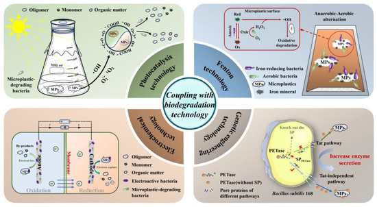 Microbial Degradation of (Micro)plastics: Mechanisms, Enhancements, and ...