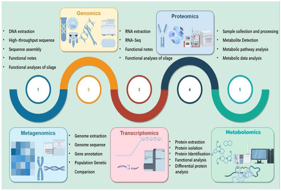 Innovative Lactic Acid Production Techniques Driving Advances in Silage ...