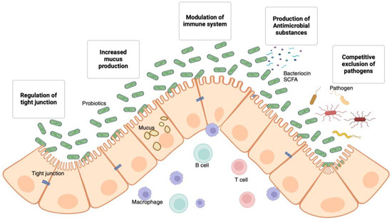 Efficacy of Probiotics in Reducing Pathogenic Potential of Infectious ...