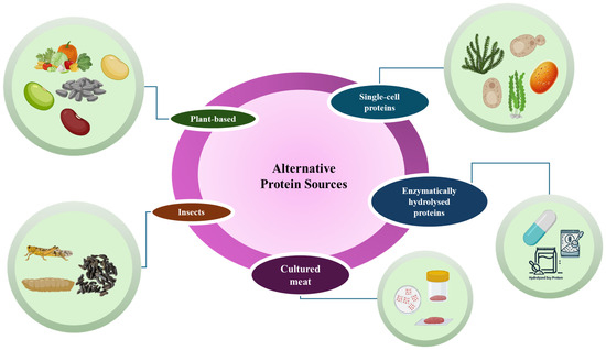 Advances in Biotechnological Strategies for Sustainable Production of ...
