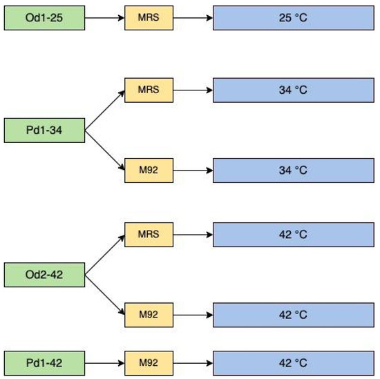 Isolation and Identification of Novel Non-Dairy Starter Culture ...