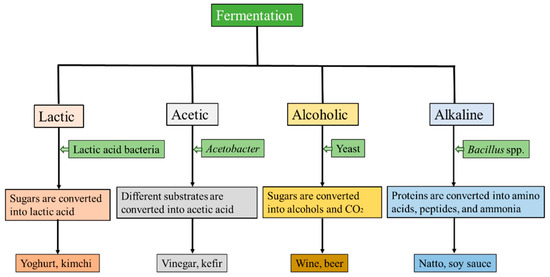 Microbial Fermentation in Food: Impact on Functional Properties and ...