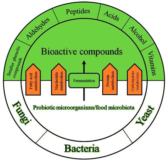 Microbial Fermentation in Food: Impact on Functional Properties and ...