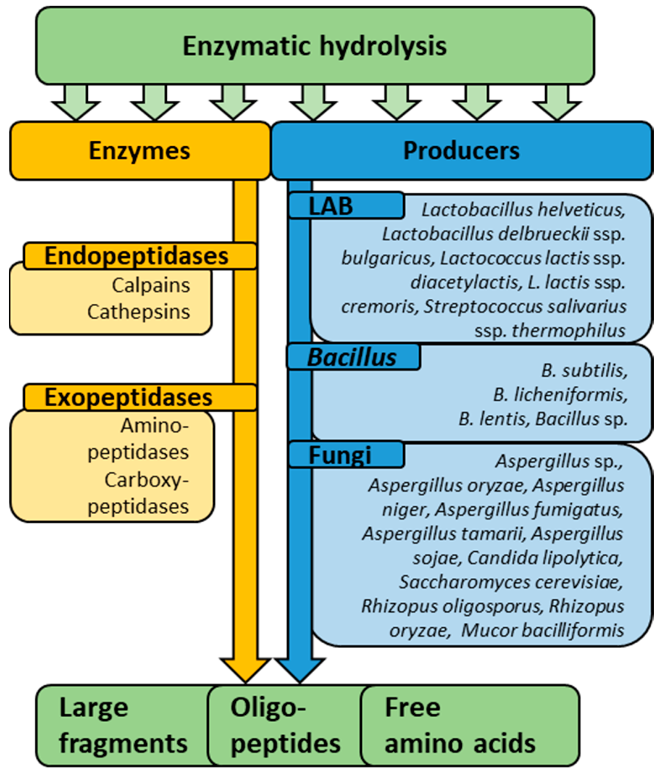 Antimicrobial Peptides, Their Production, and Potential in the Fight Against Antibiotic ...