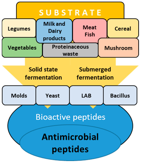 Antimicrobial Peptides, Their Production, and Potential in the Fight Against Antibiotic ...
