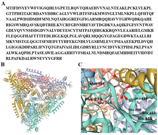 Advances in Biological Production of D-Tagatose: A Comprehensive Overview