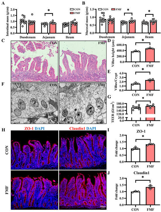 Fermented Feed Promotes Gut Development by Enhancing Intestinal Stem ...