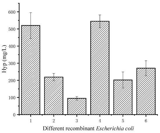 Construction of Trans-4-hydroxy-L-proline-producing Escherichia coli ...