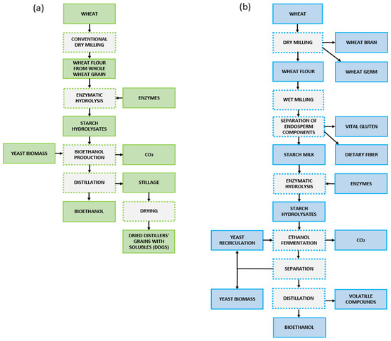 Simultaneous Saccharification and Fermentation of Wheat Starch for ...