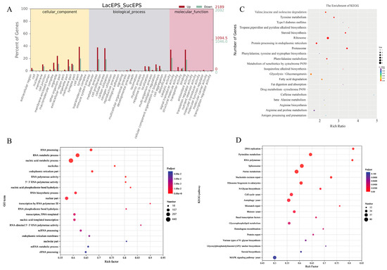 Transcriptome Analysis of Sclerotium rolfsii: Unraveling Impact of Glycolytic Pathway on ...