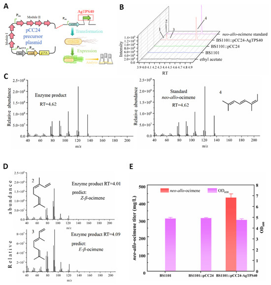 Microbial Synthesis of Neo-Allo-Ocimene by Celery-Derived Neo-Allo ...