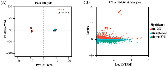 Metabolic Engineering for the Biosynthesis of Pentalenene in the ...