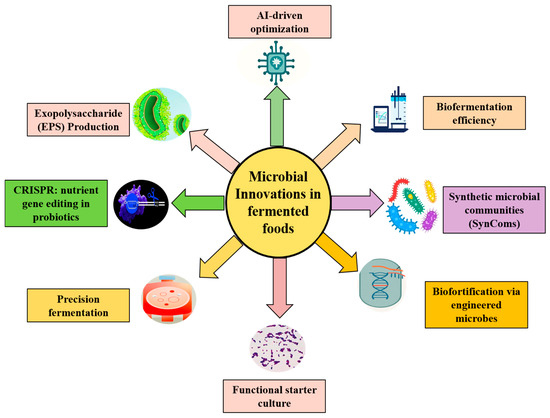 Nutritional Enhancement of Plant-Based Fermented Foods: Microbial ...