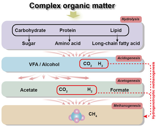 Microbial Community and Metabolic Pathways in Anaerobic Digestion of ...