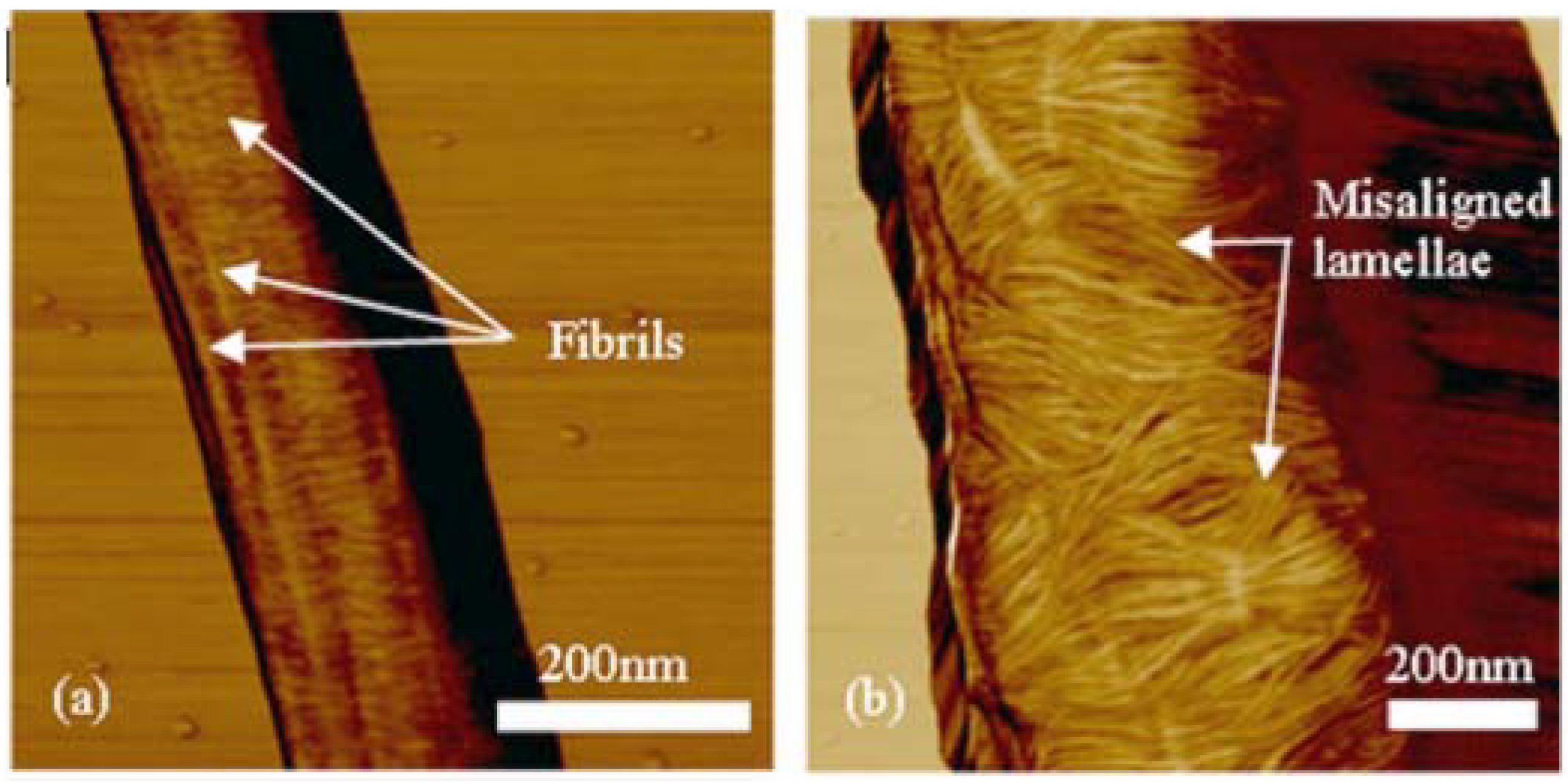 High Strength and High Modulus Electrospun Nanofibers