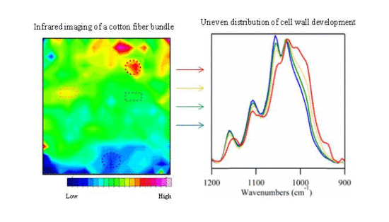 Fibers | Free Full-Text | Infrared Imaging of Cotton Fiber Bundles ...