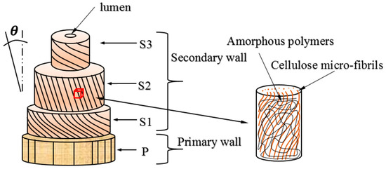 Fibers | Special Issue : Plant Bast Fibers