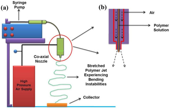 Fibers | Free Full-Text | A Review on Biopolymer-Based Fibers via ...
