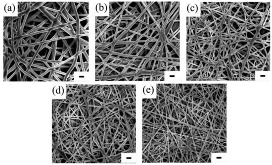 A Review on Biopolymer-Based Fibers via Electrospinning and Solution ...