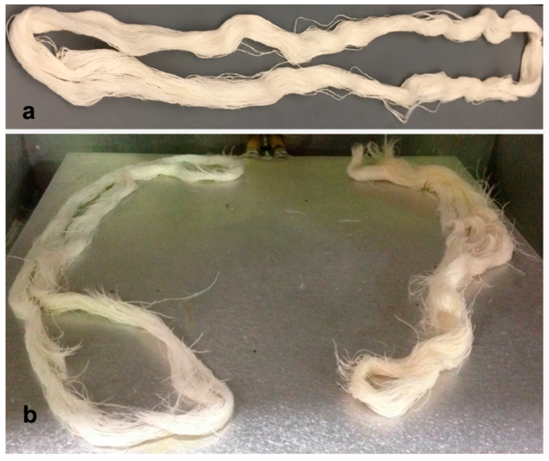 The Degradation of Cellulose by Radio Frequency Plasma