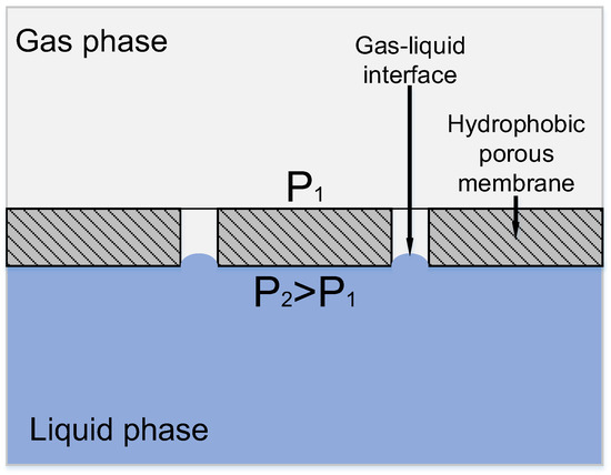 Gas-Liquid Hollow Fiber Membrane Contactors for Different Applications
