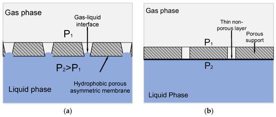 Gas-Liquid Hollow Fiber Membrane Contactors for Different Applications