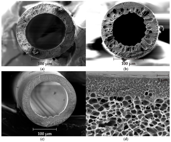 Fibers | Special Issue : Polymer Hollow Fiber Membrane 2019
