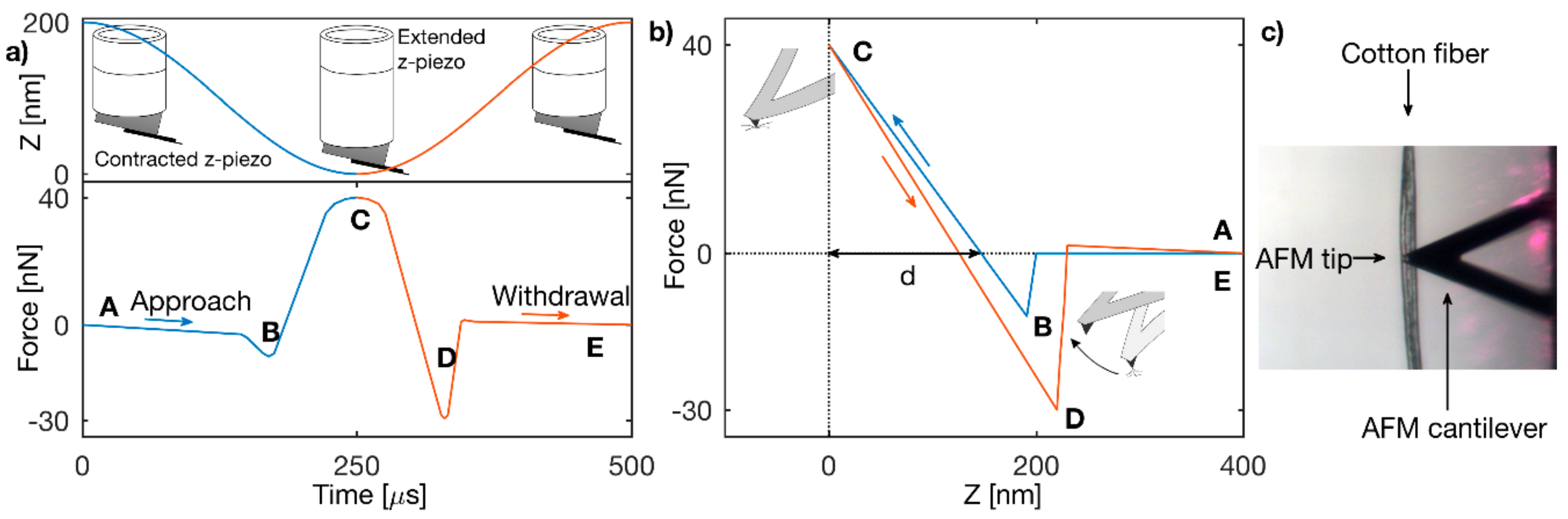 Probing of Nanoscale Friction and Mechanical Characteristics of Cotton ...