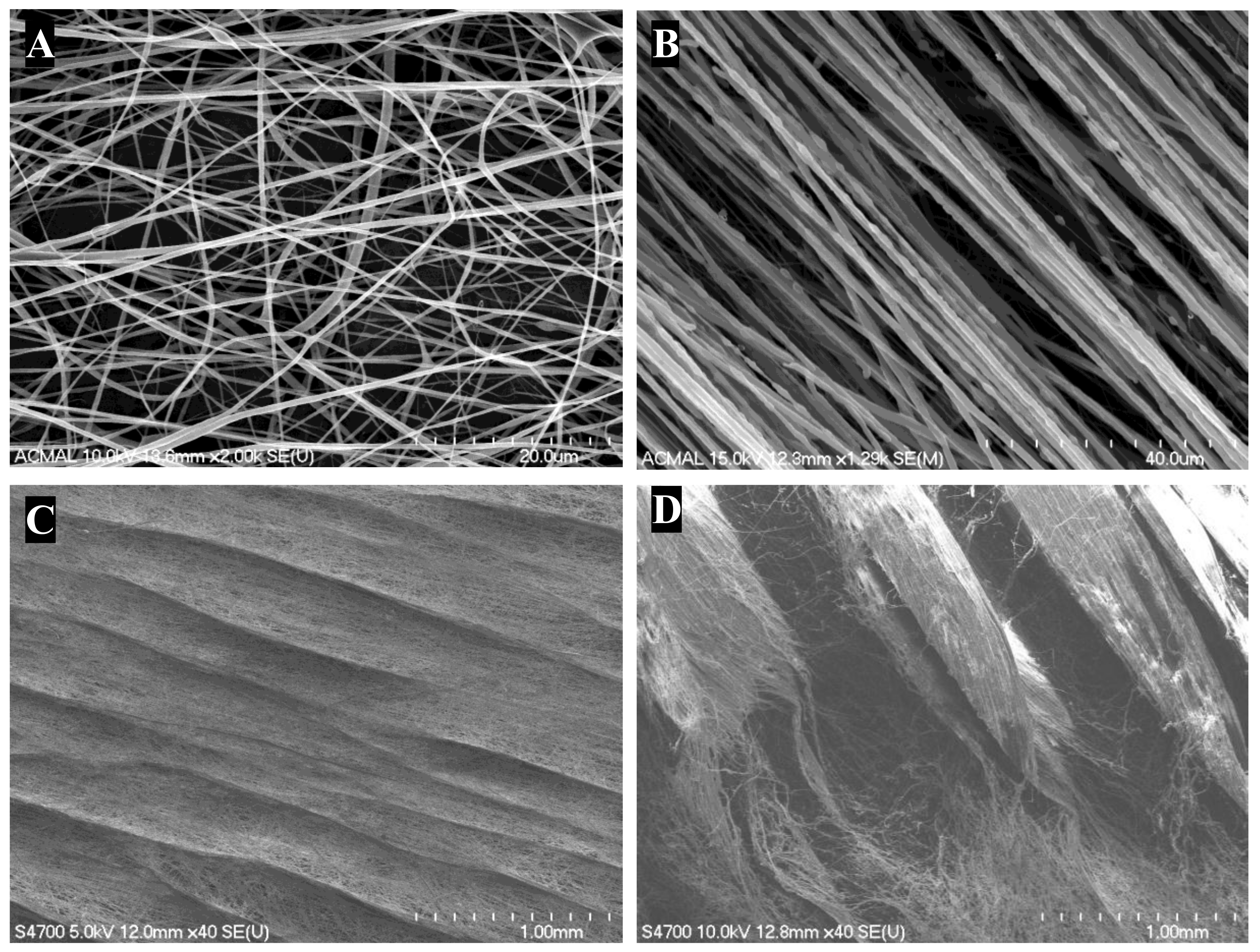 Multi-Functional Electrospun Nanofibers from Polymer Blends for ...