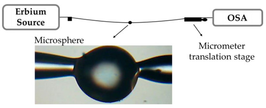 Fiber Microsphere Coupled in a Taper for a Large Curvature Range