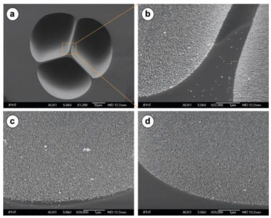 Nano-Structured Optical Fibers Made of Glass-Ceramics, and Phase ...
