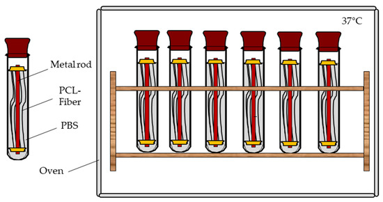 Melt-Spun, Cross-Section Modified Polycaprolactone Fibers for Use in ...