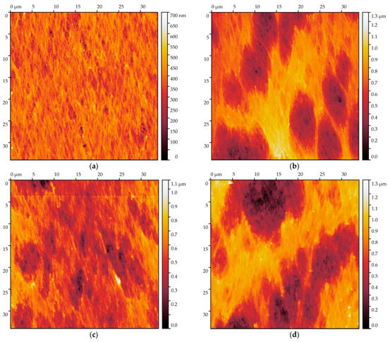 Fibers | An Open Access Journal from MDPI