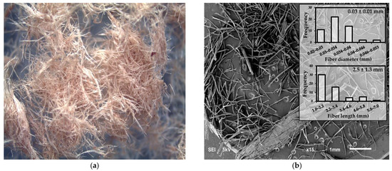 Development of Thin Films from Thermomechanical Pulp Nanofibers of ...