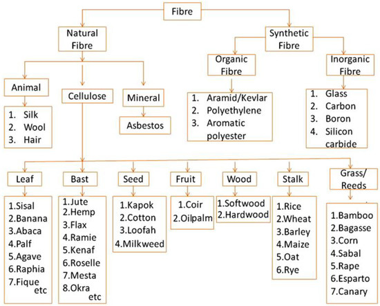 Physical, Chemical, and Mechanical Characterization of Natural Bark ...