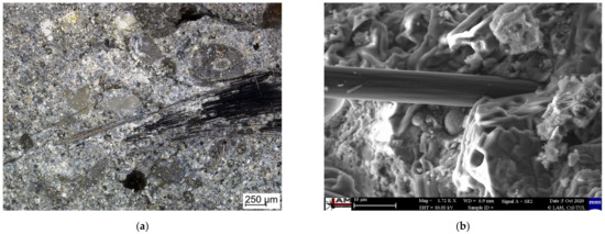 Carbon Fiber-Reinforced Geopolymer Composites: A Review