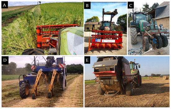 Fibers | Free Full-Text | Production of Long Hemp Fibers Using the Flax ...