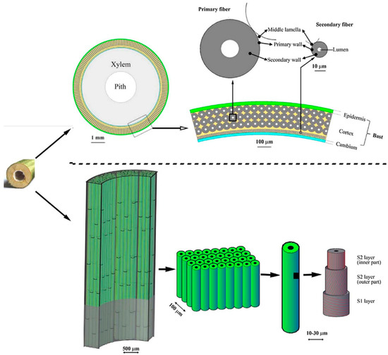 Targeted Pre-Treatment of Hemp Fibers and the Effect on Mechanical ...