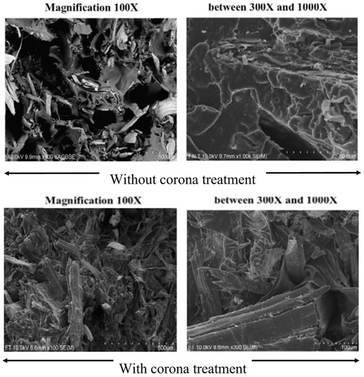 Targeted Pre-Treatment of Hemp Fibers and the Effect on Mechanical ...