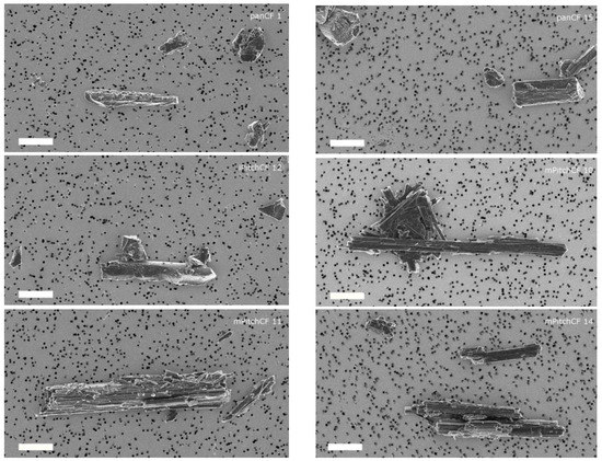 Investigation of the Tendency of Carbon Fibers to Disintegrate into ...