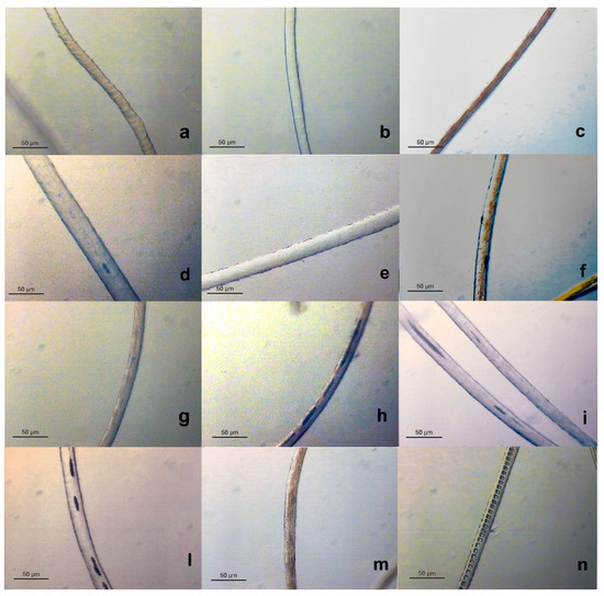 Analytical Methods for the Identification and Quantitative ...