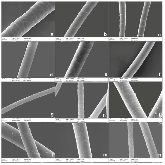 Analytical Methods for the Identification and Quantitative ...