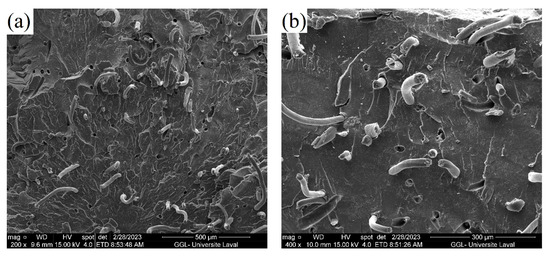 Recycled Tire Fibers Used as Reinforcement for Recycled Polyethylene ...