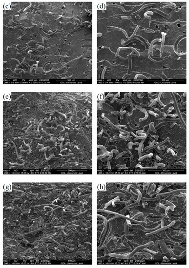 Recycled Tire Fibers Used as Reinforcement for Recycled Polyethylene ...